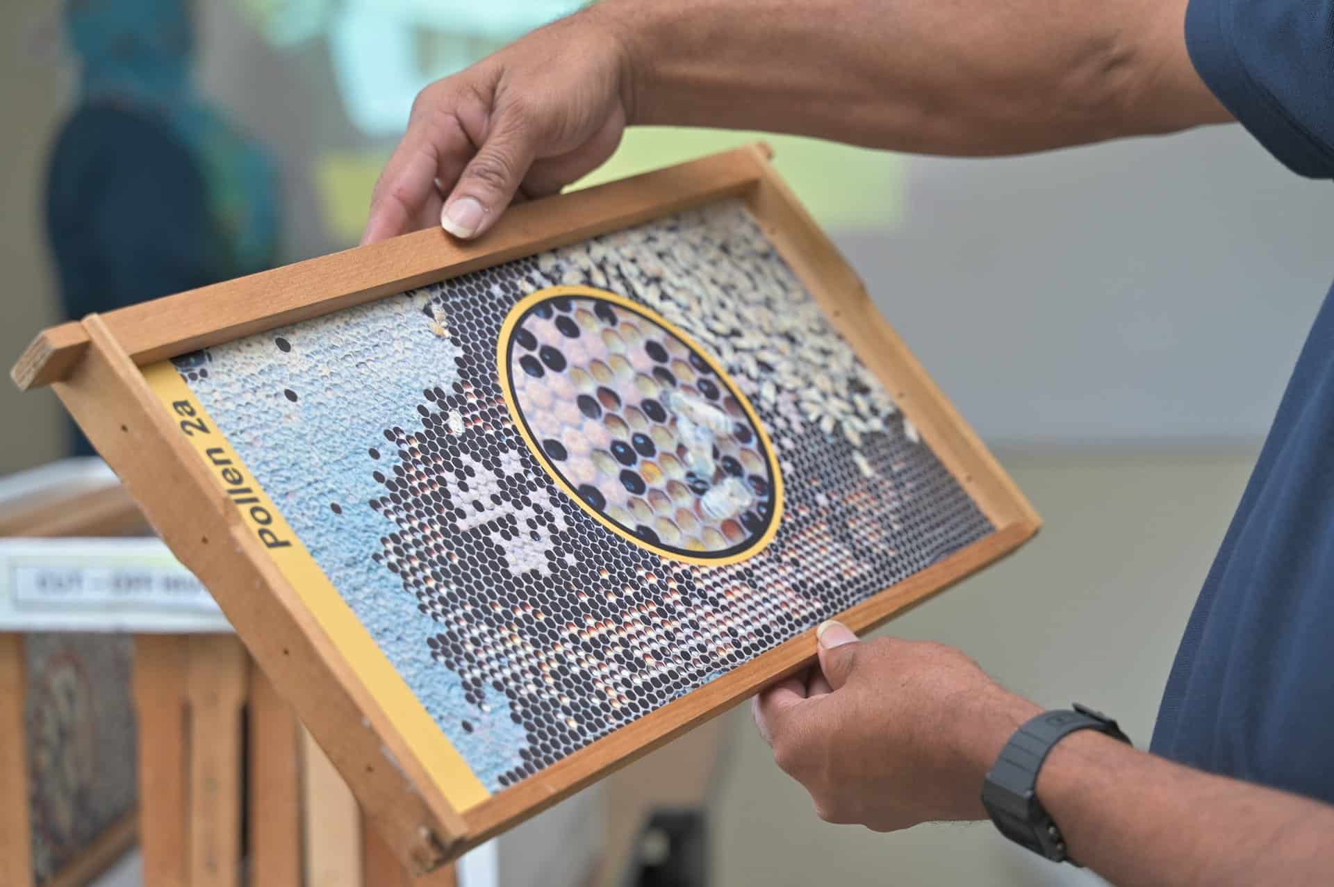 Media Release: Beyond 315—A Start-up Colony - NGC Media Centre